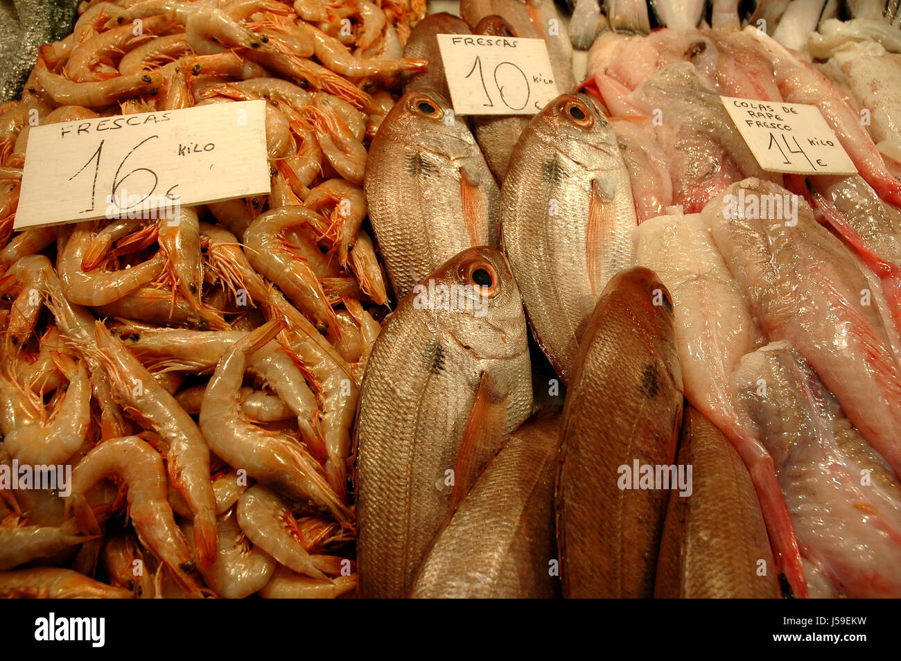 Flea shrimp hi-res stock photography and images - Alamy