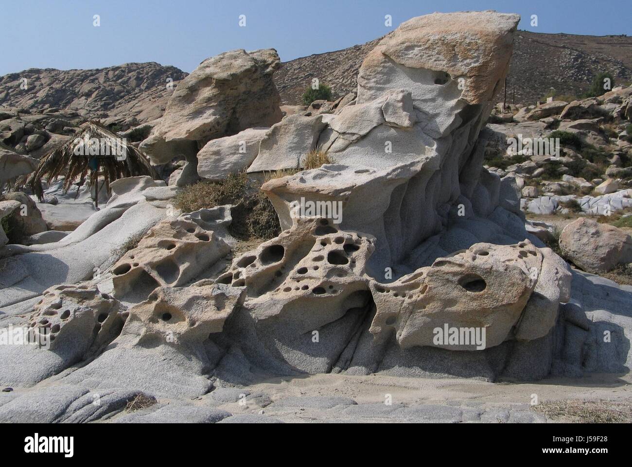 plant greece rock erosion weathering granite aridly isle island ...