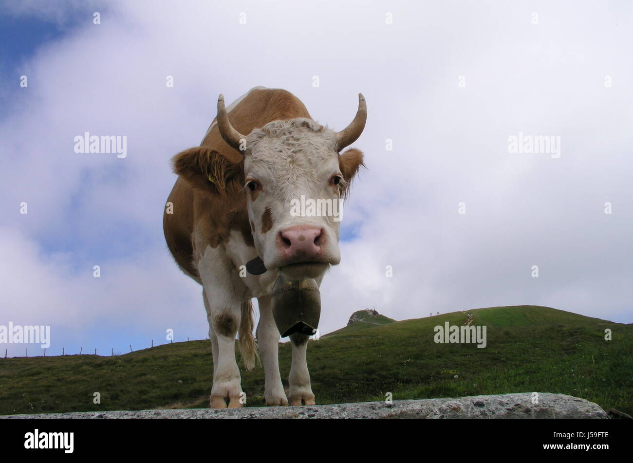 sight view outlook perspective vista panorama lookout cornets cow ...