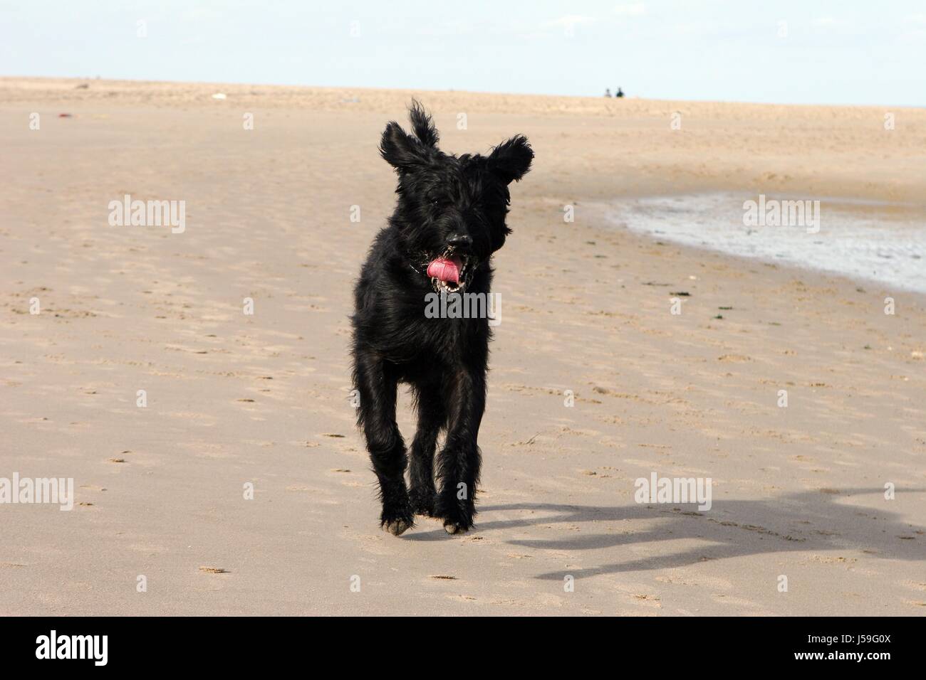 i have fun Stock Photo - Alamy