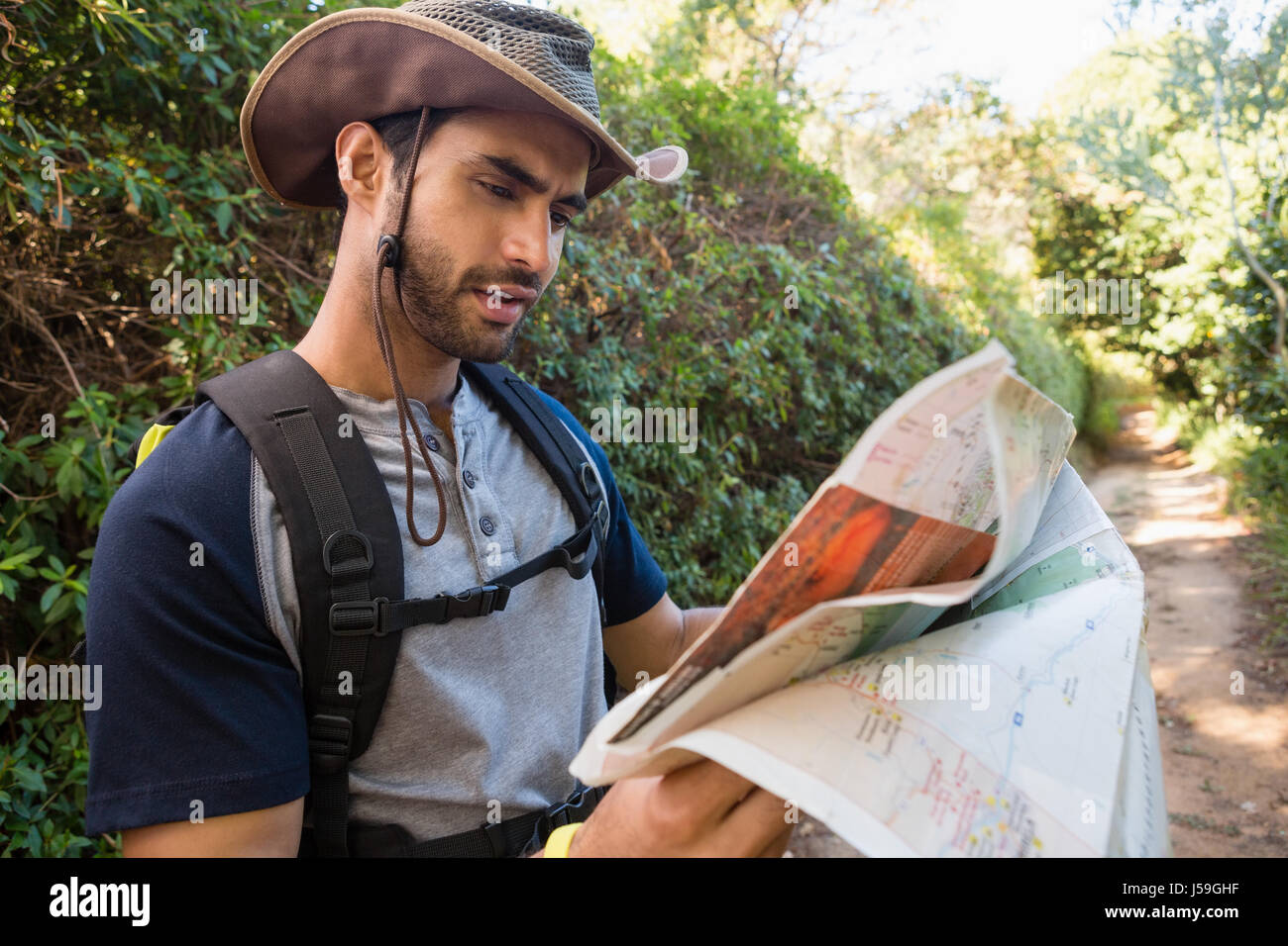 Man reading the map in the forest on a sunny day Stock Photo - Alamy