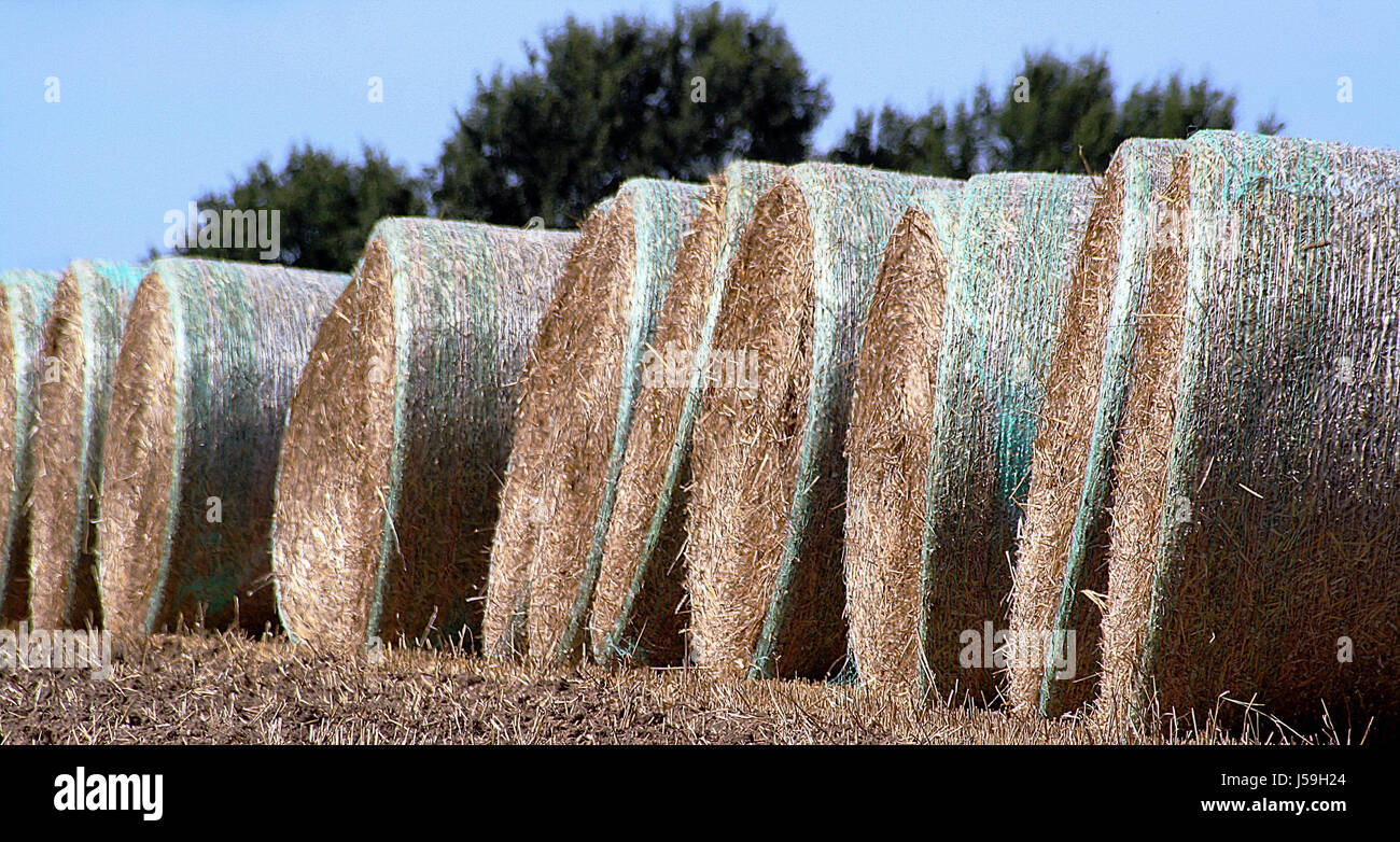wheels of straw Stock Photo - Alamy