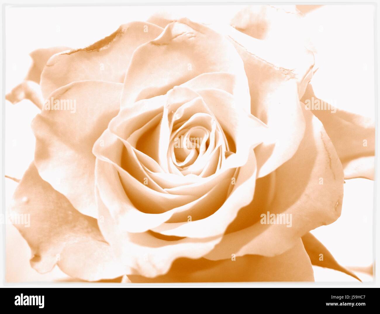 Unimpressive hi-res stock photography and images - Alamy