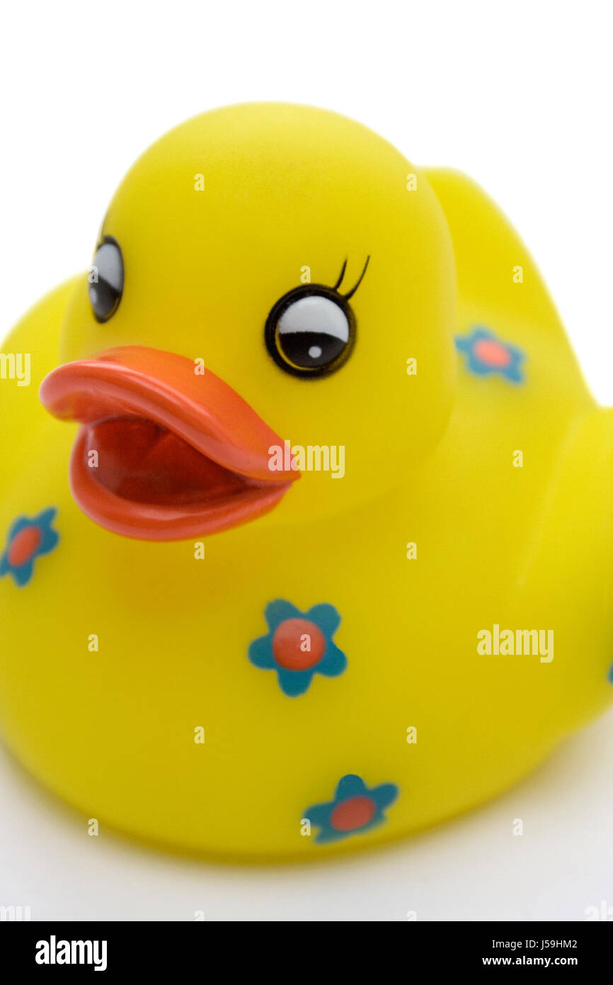 Yellow rubber duck blue eyes hi-res stock photography and images - Alamy