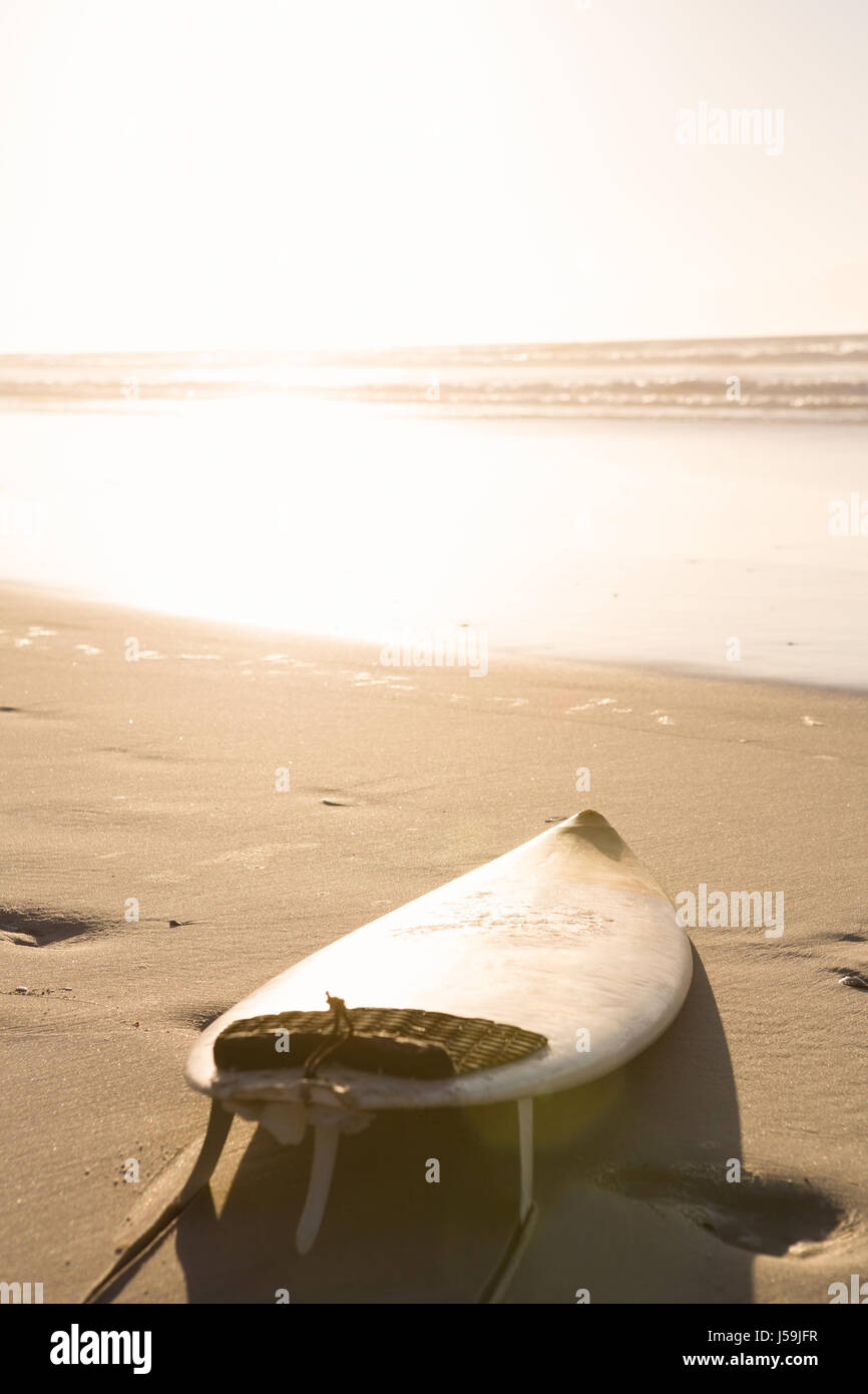 Surfboard at beach on shore Stock Photo - Alamy