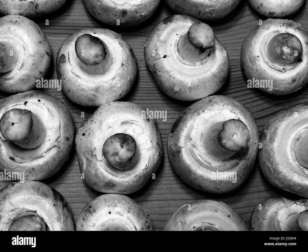 lined up in order Stock Photo - Alamy