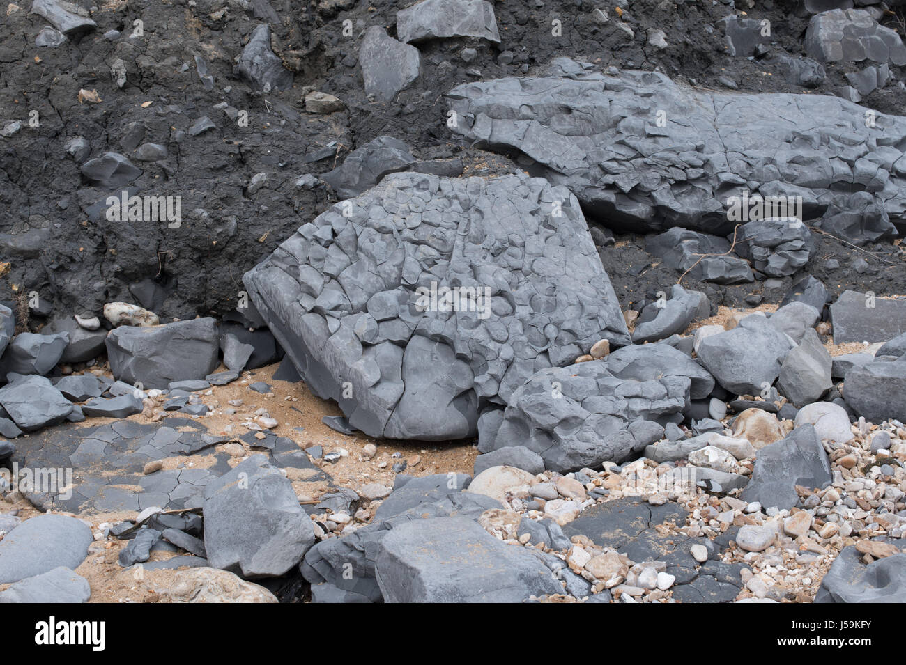 Fossil mudstone hi-res stock photography and images - Alamy