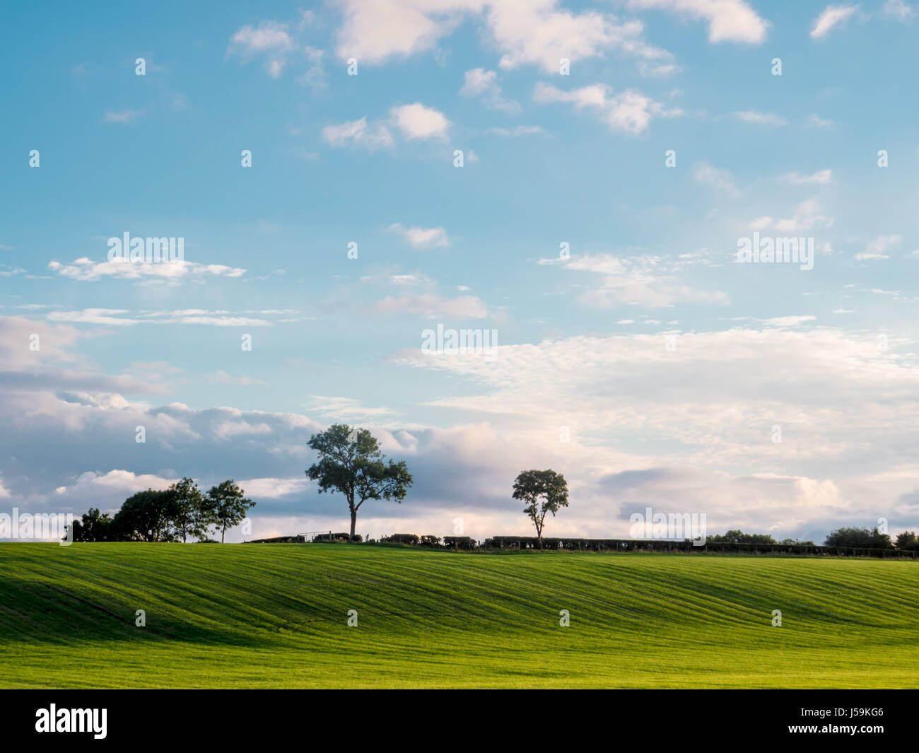 Light on the Land Ireland Stock Photo - Alamy