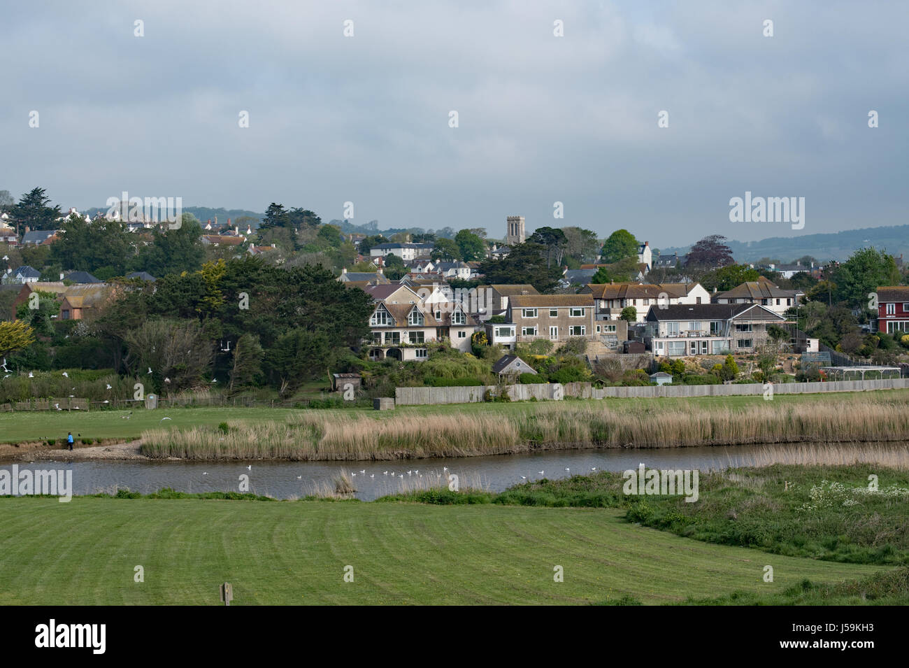 The reed beds edging the River Char at Charmouth, Dorset Stock Photo ...