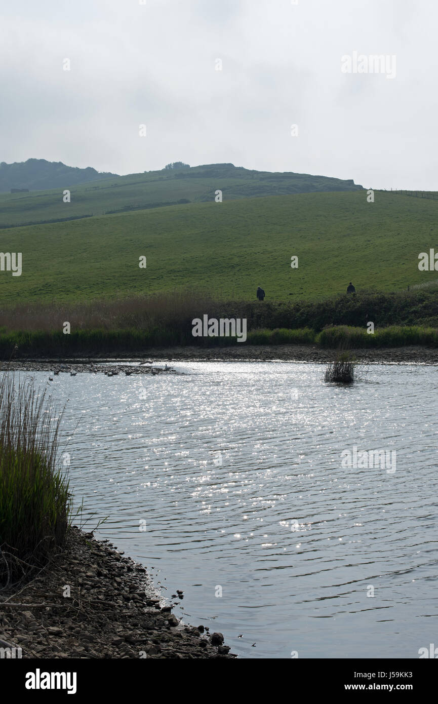 Bank filtration hi-res stock photography and images - Alamy