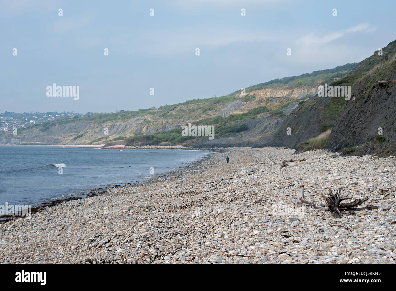 The fossil-enriched cliffs between Charmouth and Golden Cap Stock Photo ...