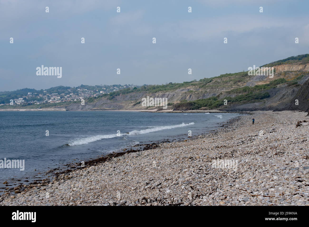 The fossil-enriched cliffs between Charmouth and Golden Cap Stock Photo ...
