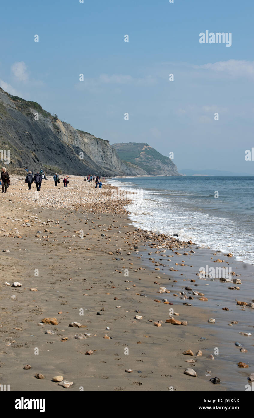 Golden cap stone dorset hi-res stock photography and images - Alamy