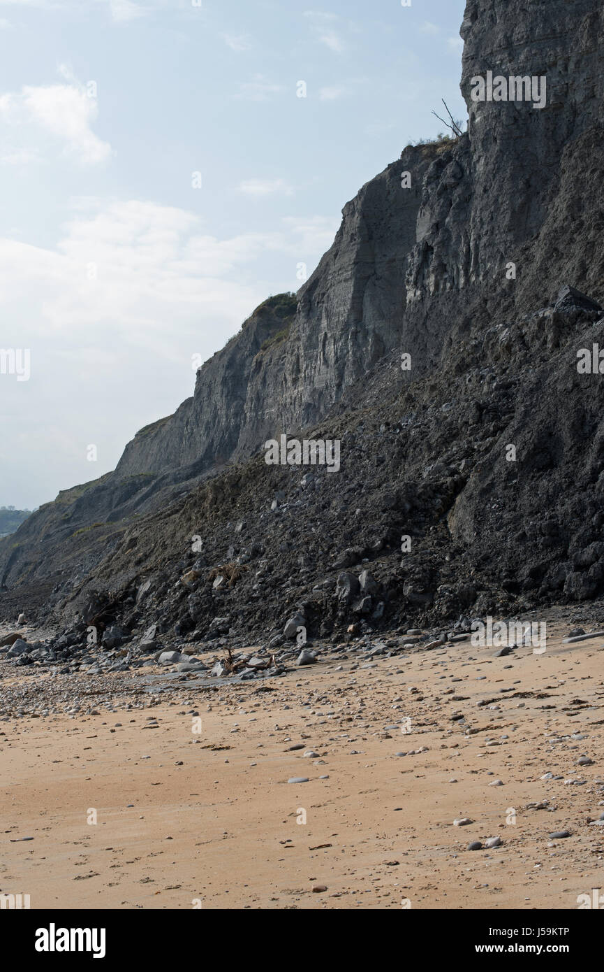 The fossil-enriched cliffs between Charmouth and Golden Cap Stock Photo ...