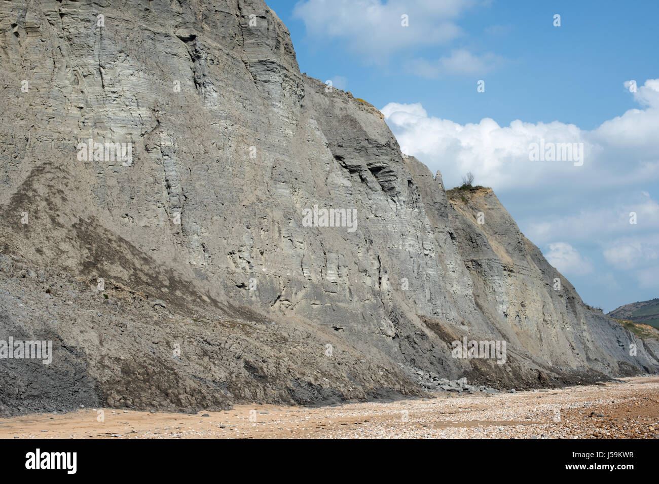 The fossil-enriched cliffs between Charmouth and Golden Cap Stock Photo ...