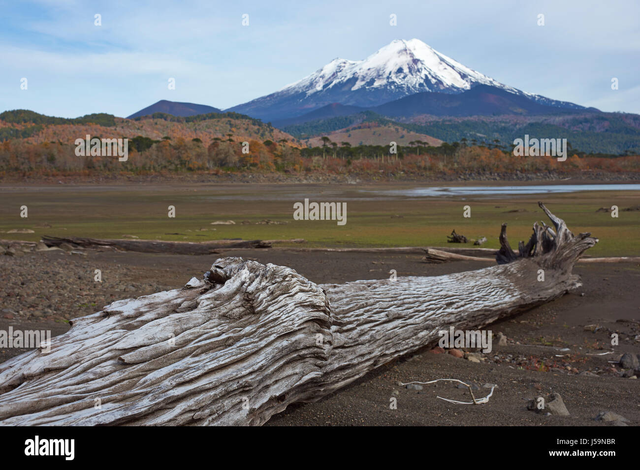 Snow capped peak of Volcano Llaima (3125 meters) in Conguillio National ...