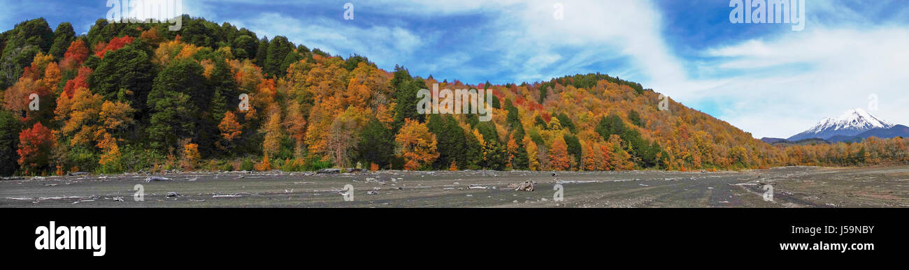 Conguillio National Park in southern Chile. Lake shore of Lago ...