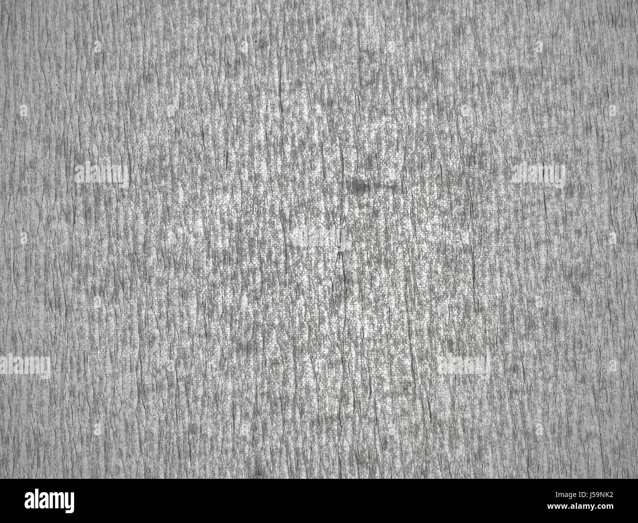 White paper pattern simulating paper fibers with light shining through ...