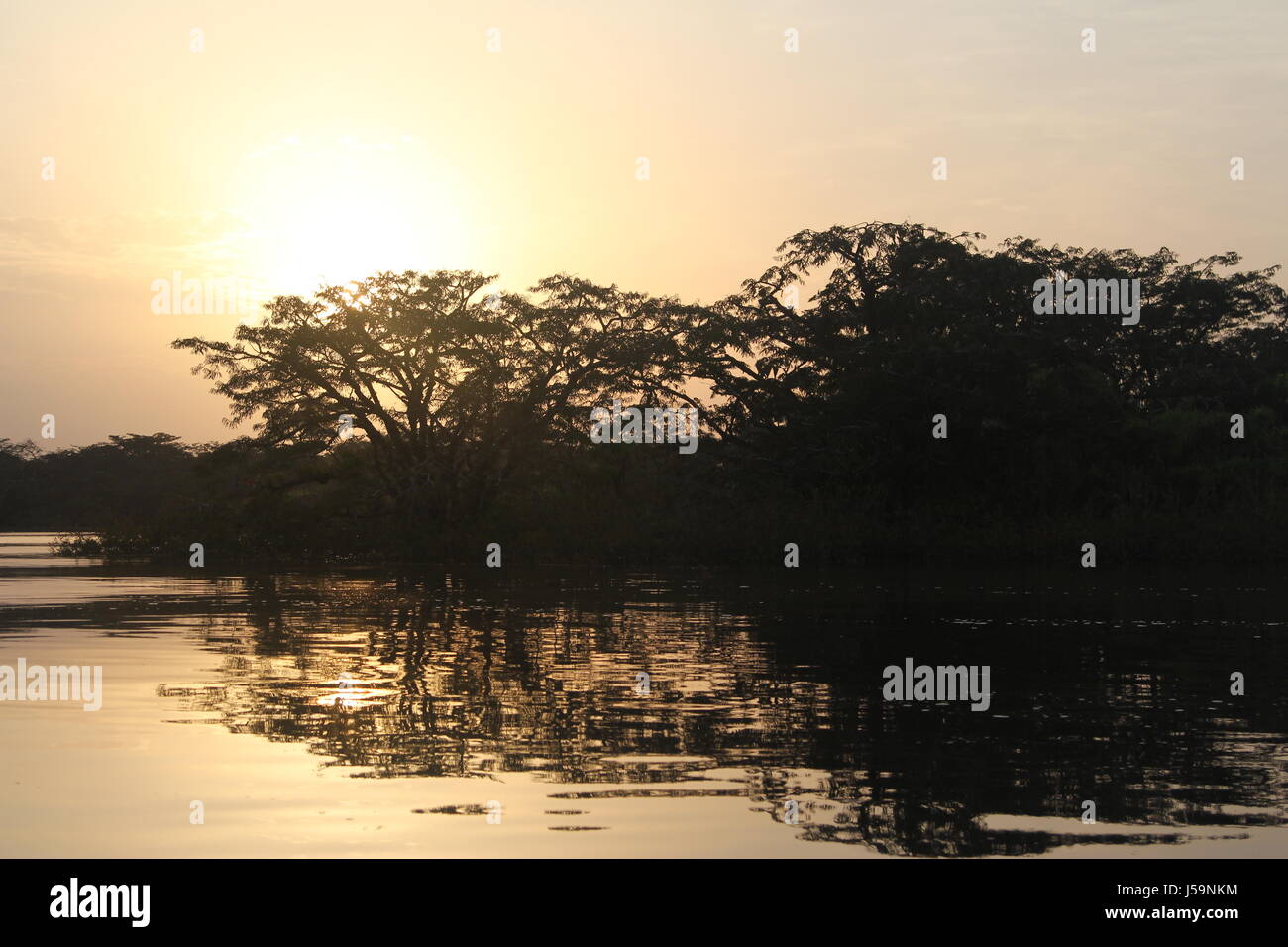 Amazon sunset hi-res stock photography and images - Alamy