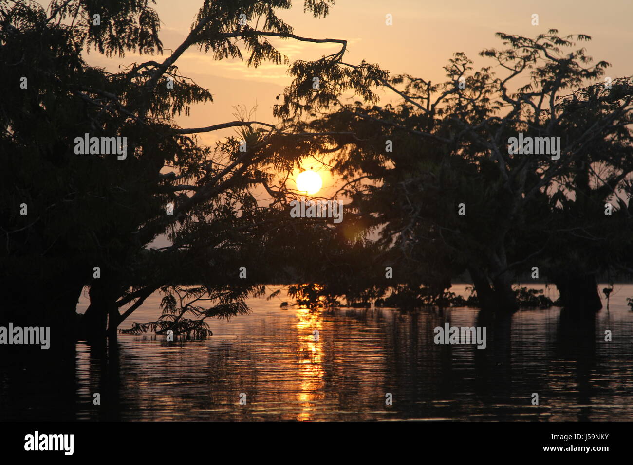 Amazon sunset hi-res stock photography and images - Alamy