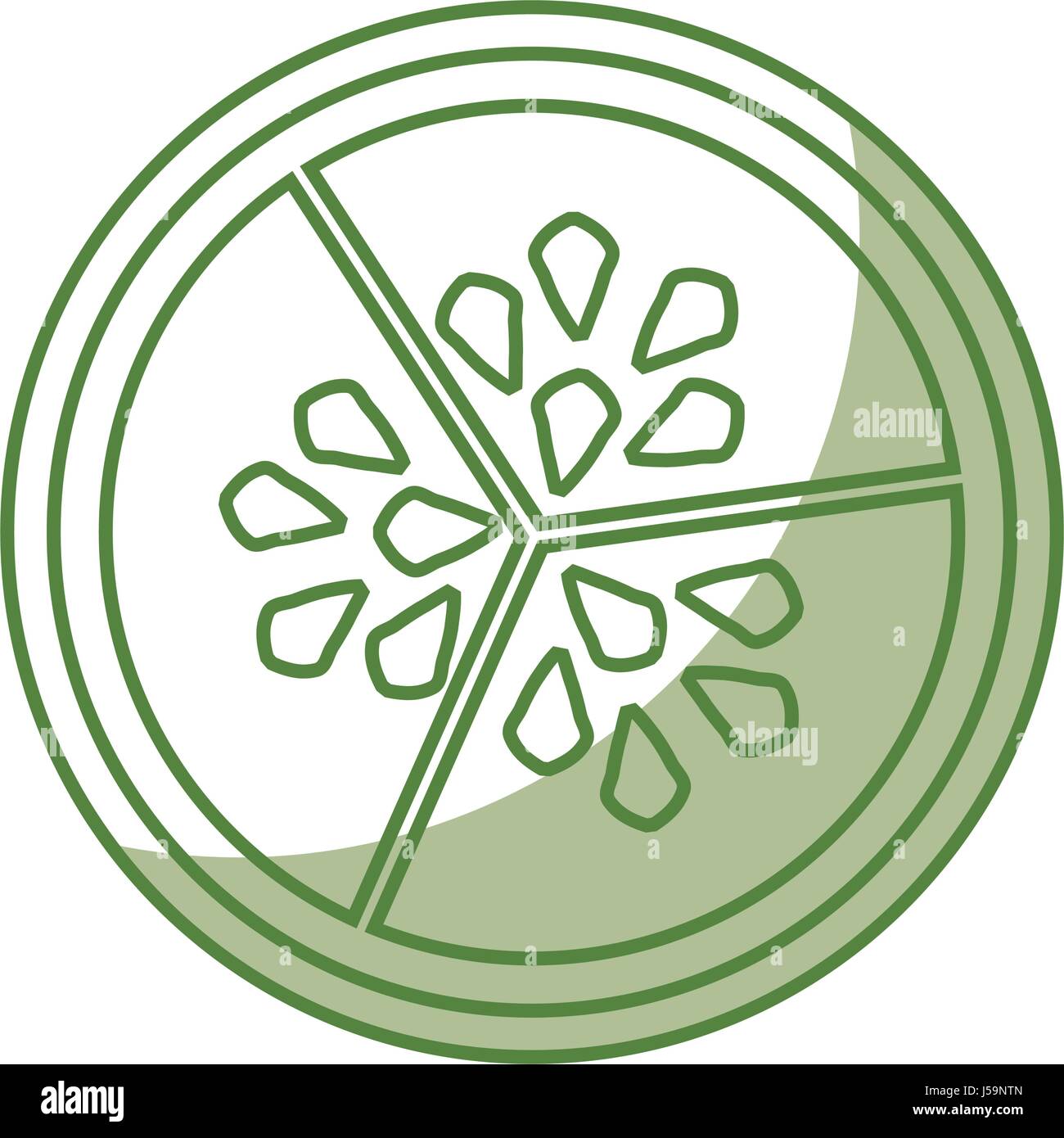 cucumber vegetable seeds Stock Vector Image & Art - Alamy