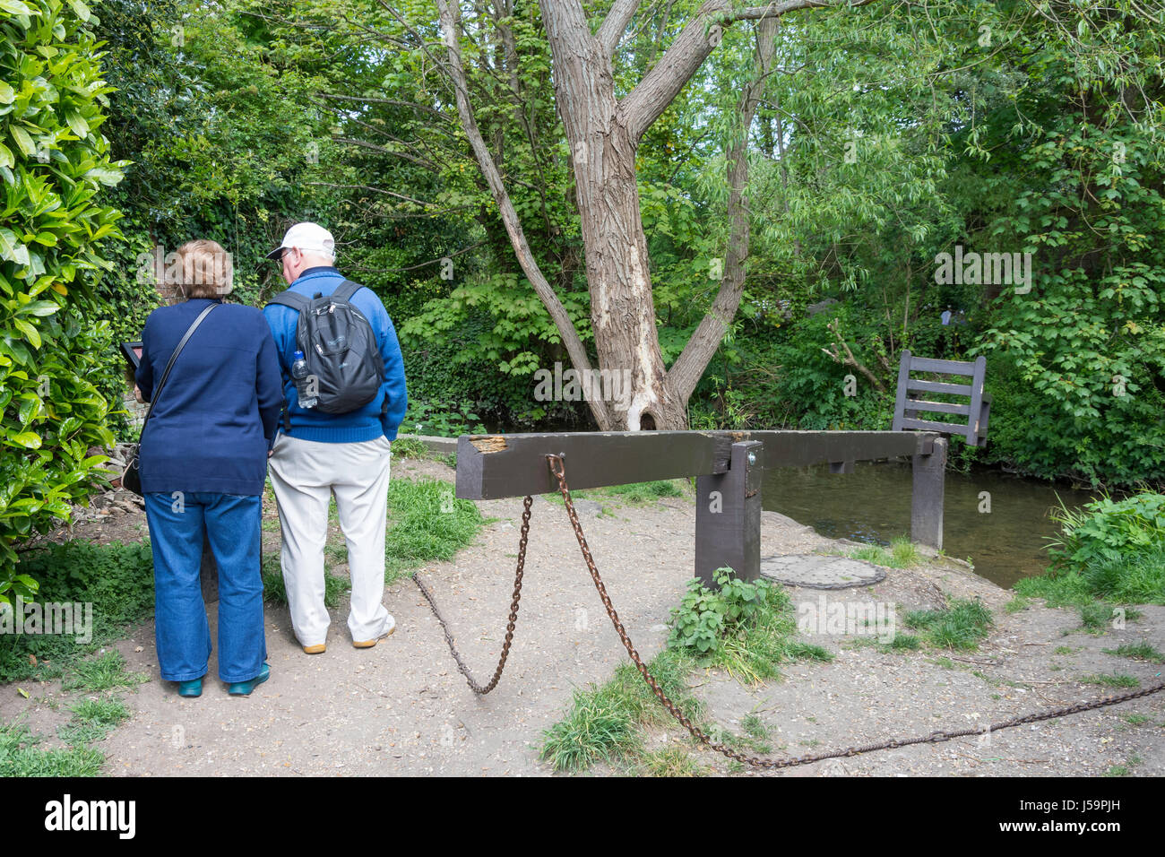 Ducking stool punishment hi-res stock photography and images - Alamy