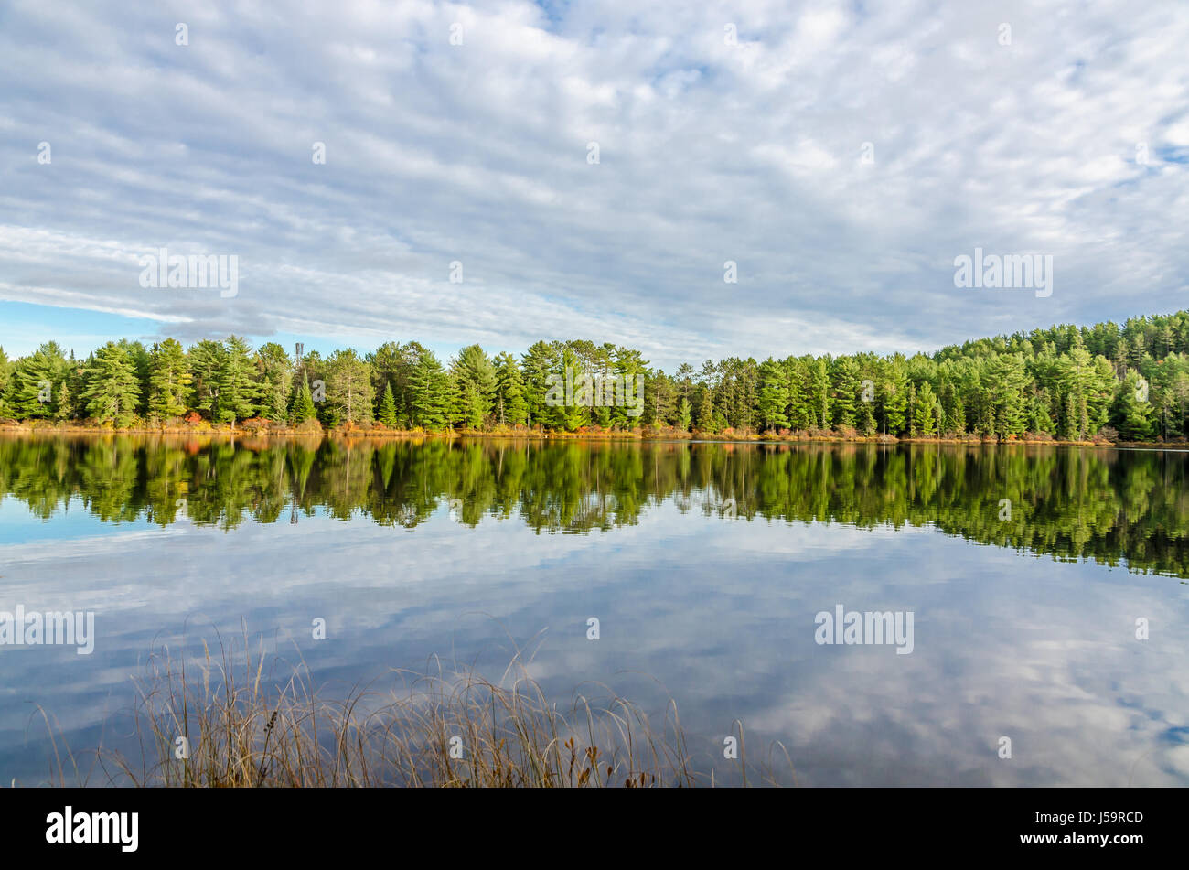 Lake in Algonquin Park during the fall season Stock Photo - Alamy