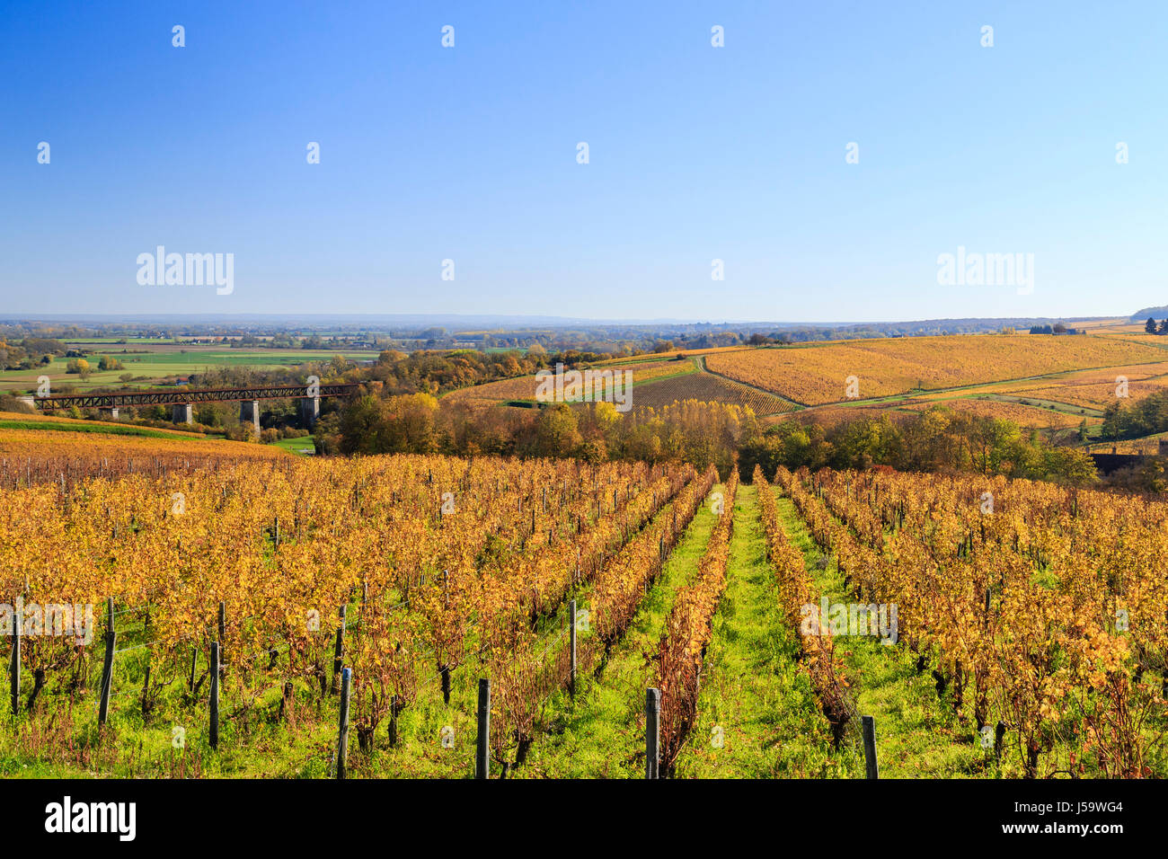 France, Cher, Sancerrois region, Sancerre, the vineyard fall and the ...