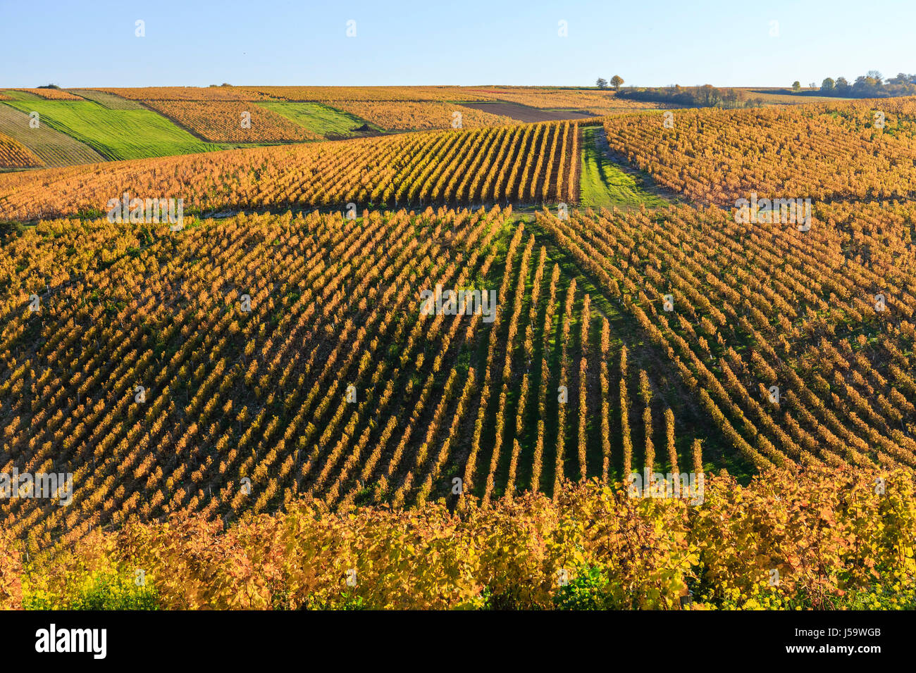 Chavignol hi-res stock photography and images - Alamy