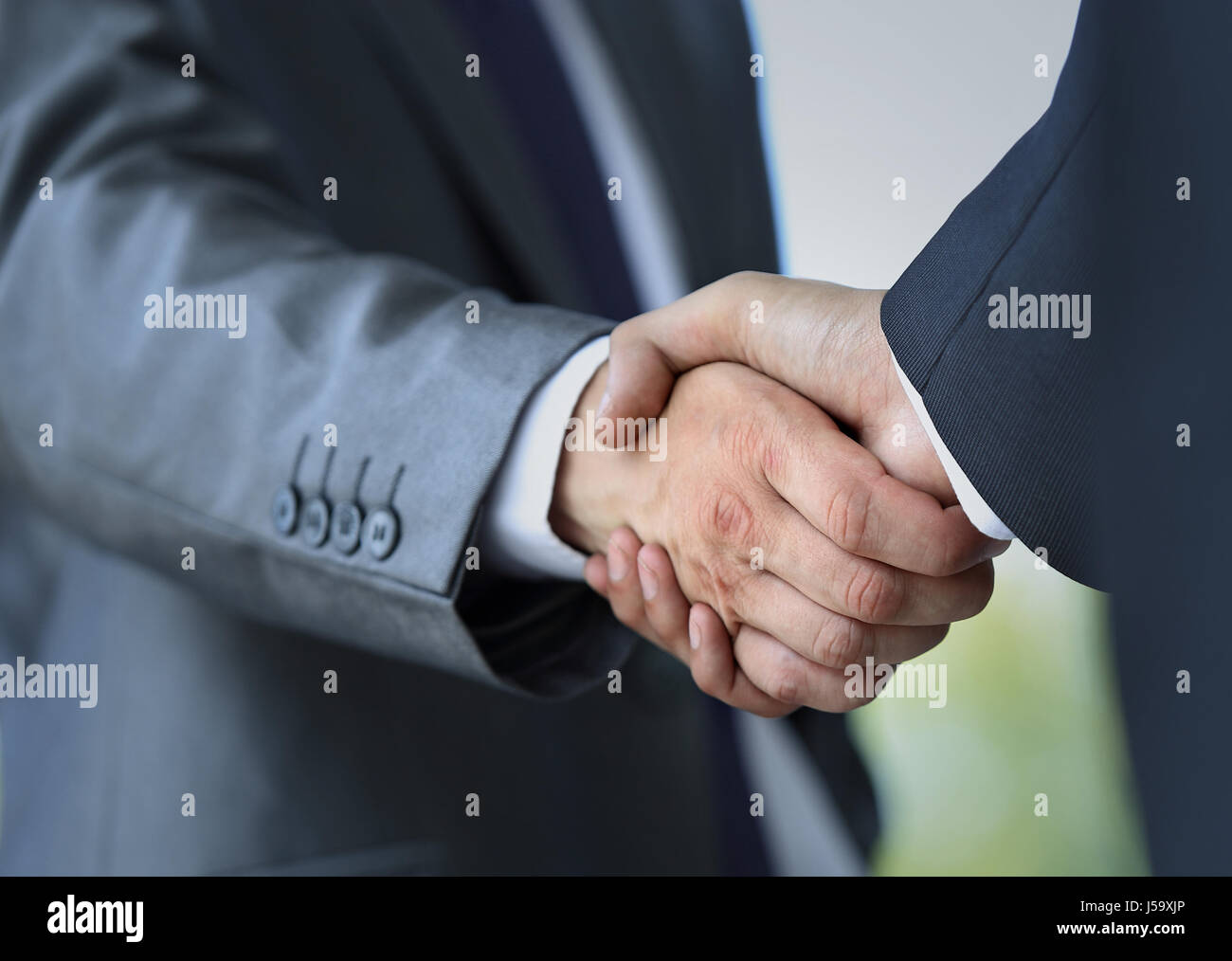 handshake in office Stock Photo - Alamy