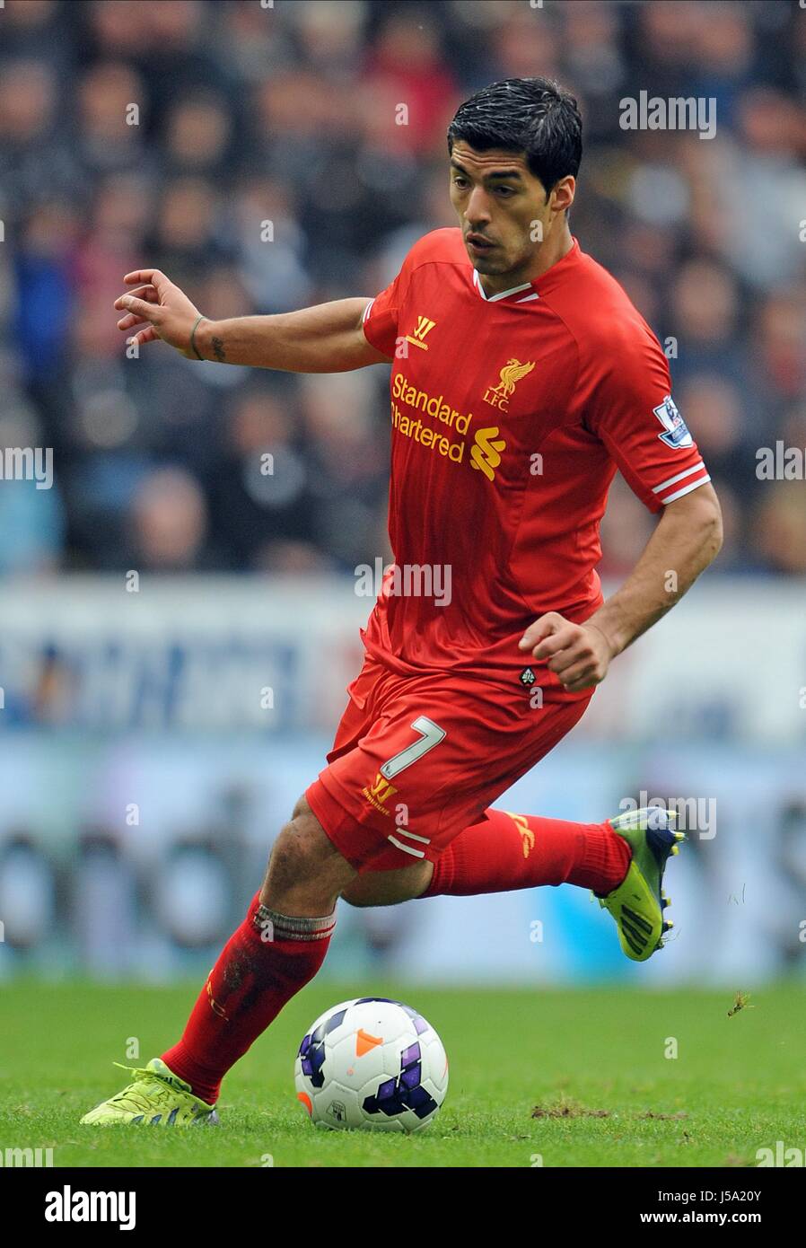 LUIS SUAREZ LIVERPOOL FC ST JAMES PARK NEWCASTLE ENGLAND 19 October ...