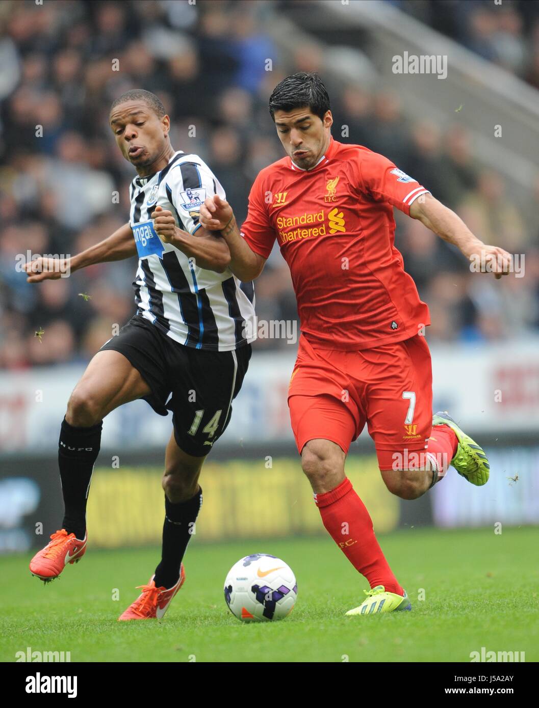 Loic remy liverpool hi-res stock photography and images - Alamy