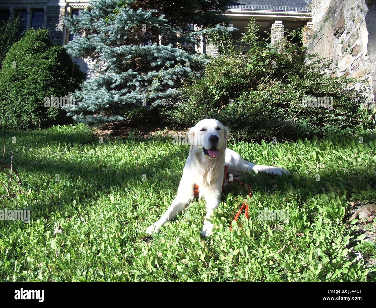 Chapi hi-res stock photography and images - Alamy