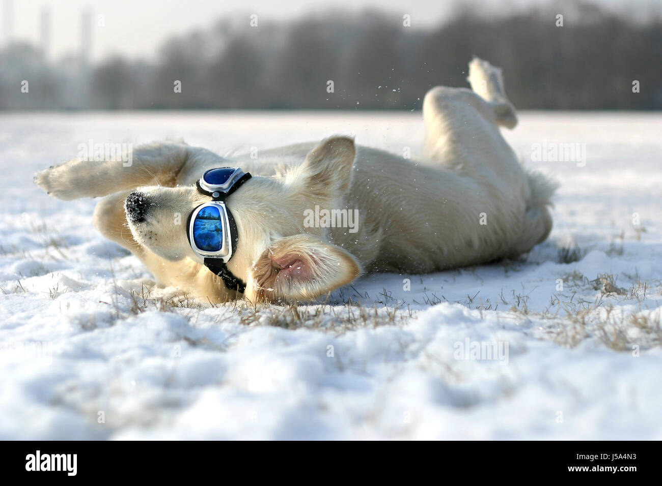i feel good Stock Photo - Alamy