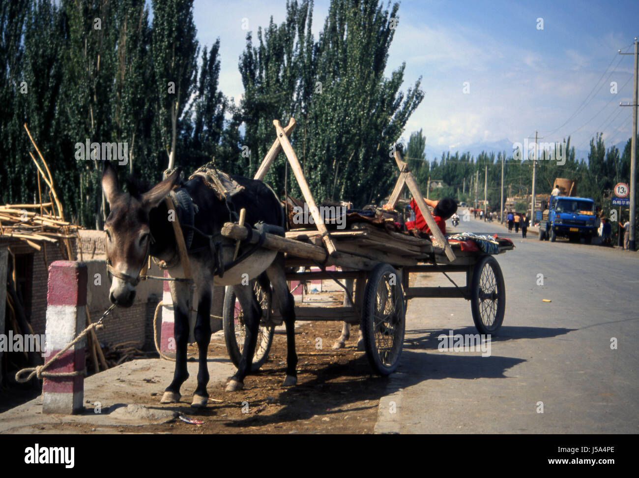 Vehicle and animal hi-res stock photography and images - Alamy