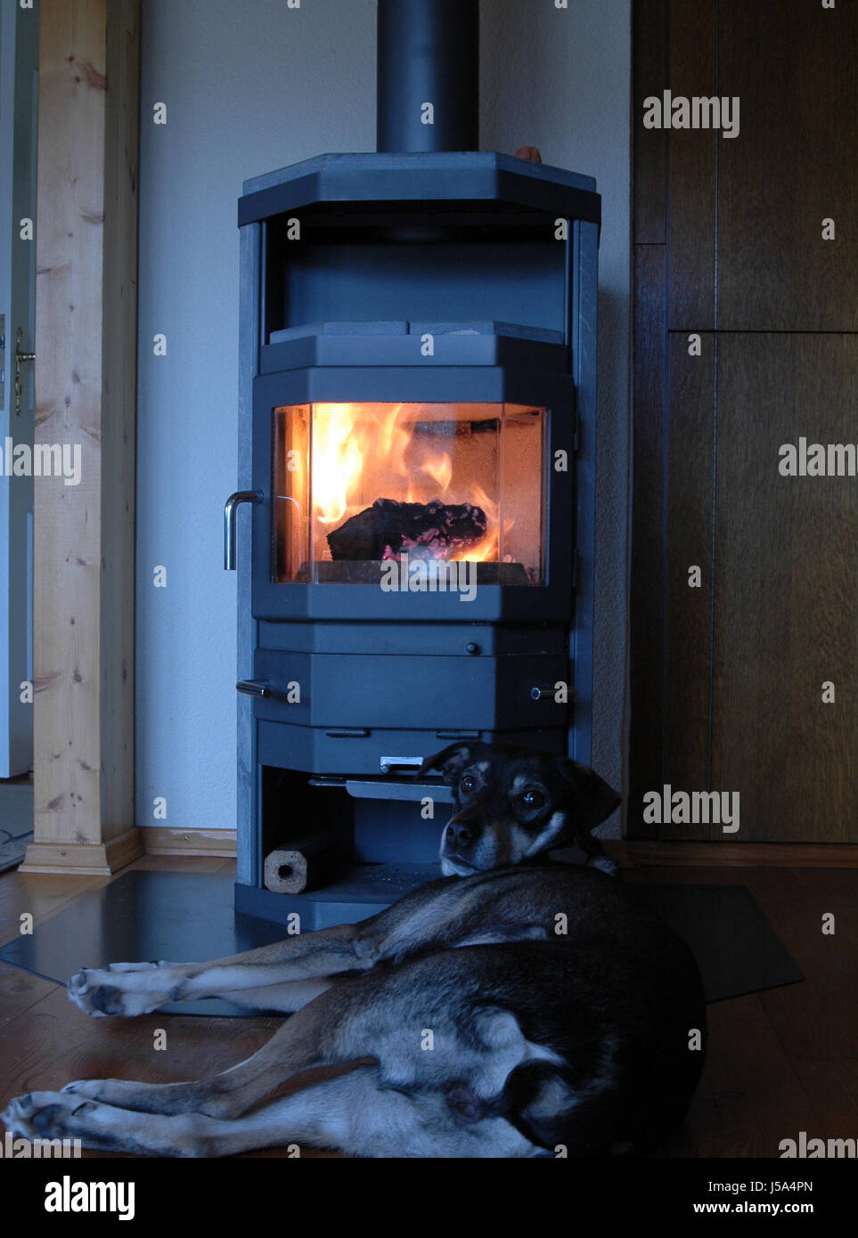 Sleeping dog fireplace hi-res stock photography and images - Alamy