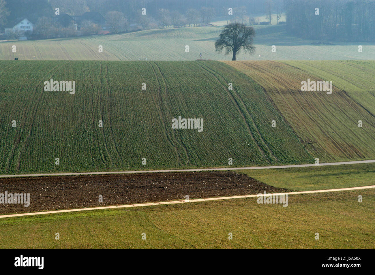 green field horizontal fields vertical grow expectation design shaping ...