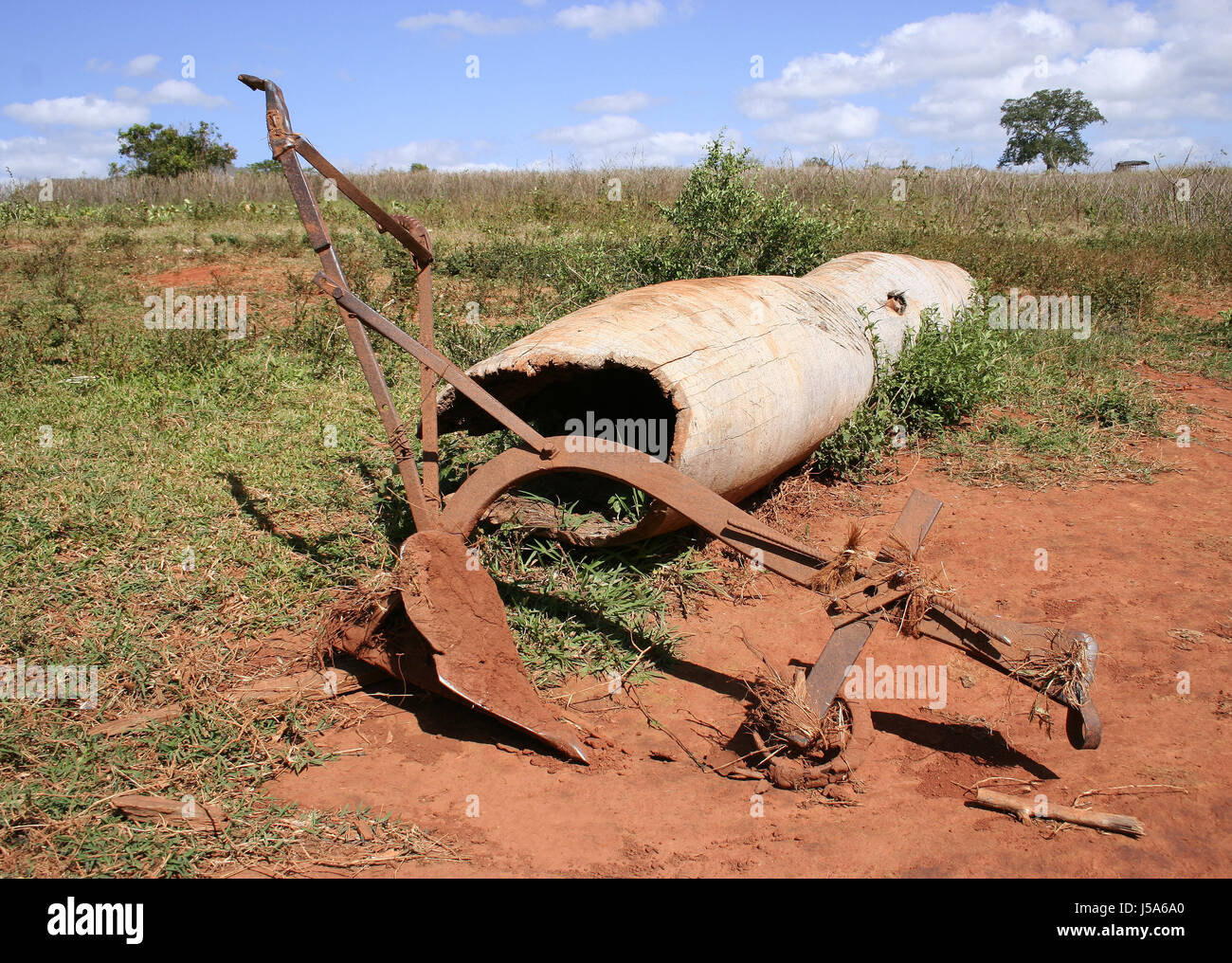 blue tree plant tackle green dust trunk agriculture farming bushes ...