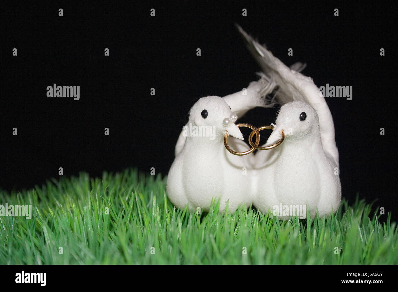 bird green wedding marriage marriage ceremony wedding ceremony life ...