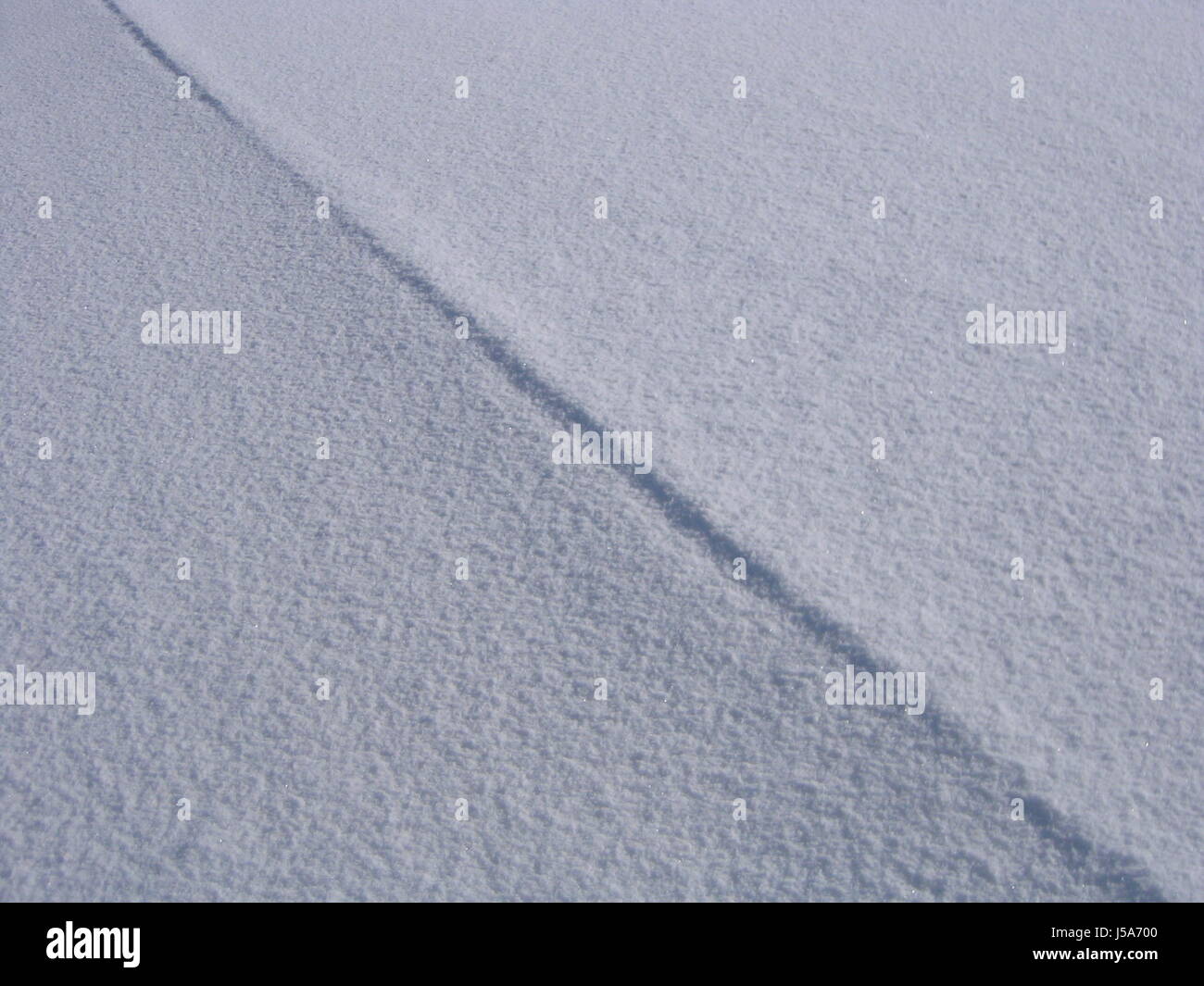 winter blank european caucasian sense diagonal unaffected snow line ...