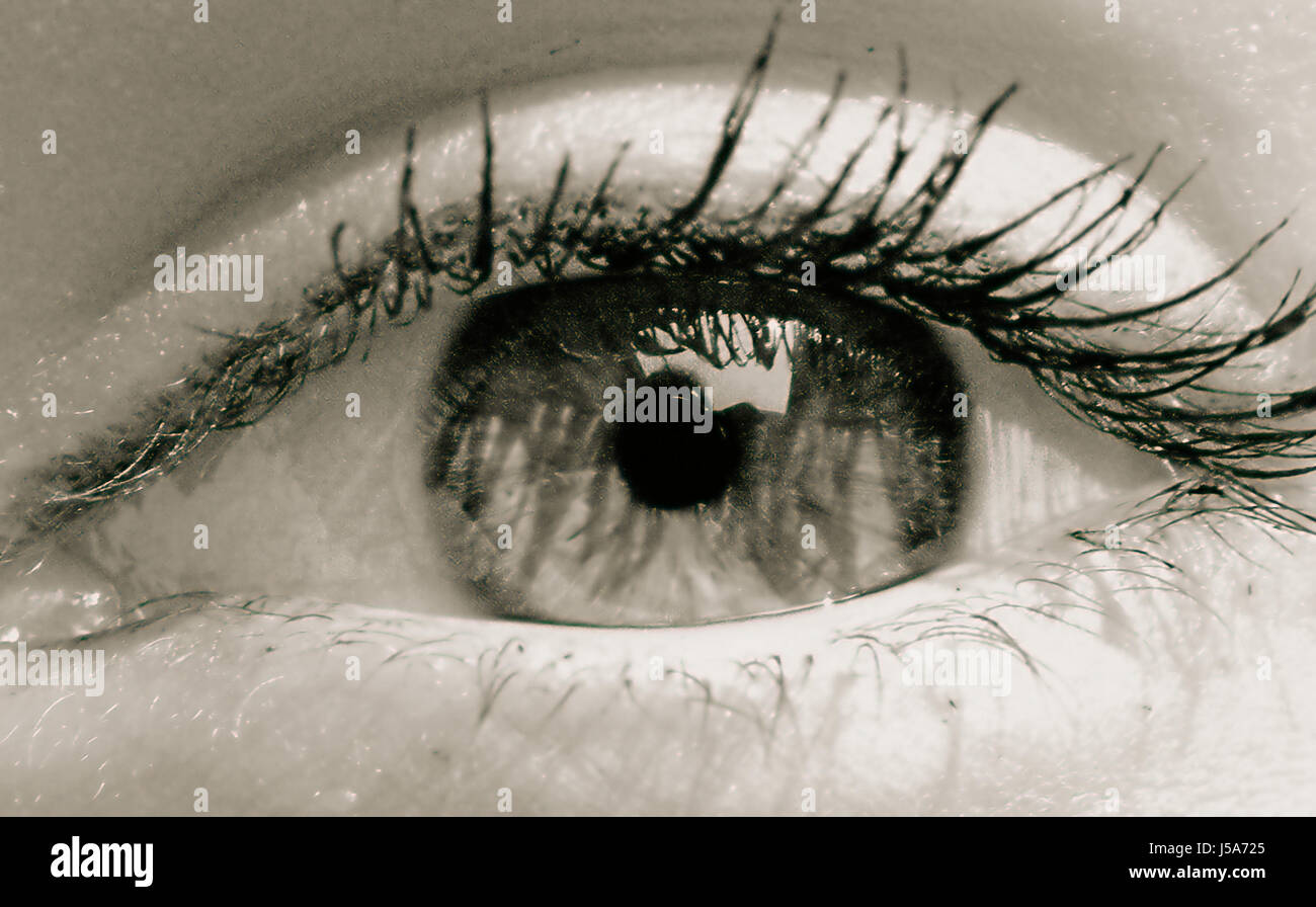woman female eye organ bw hairs look glancing see view looking peeking ...