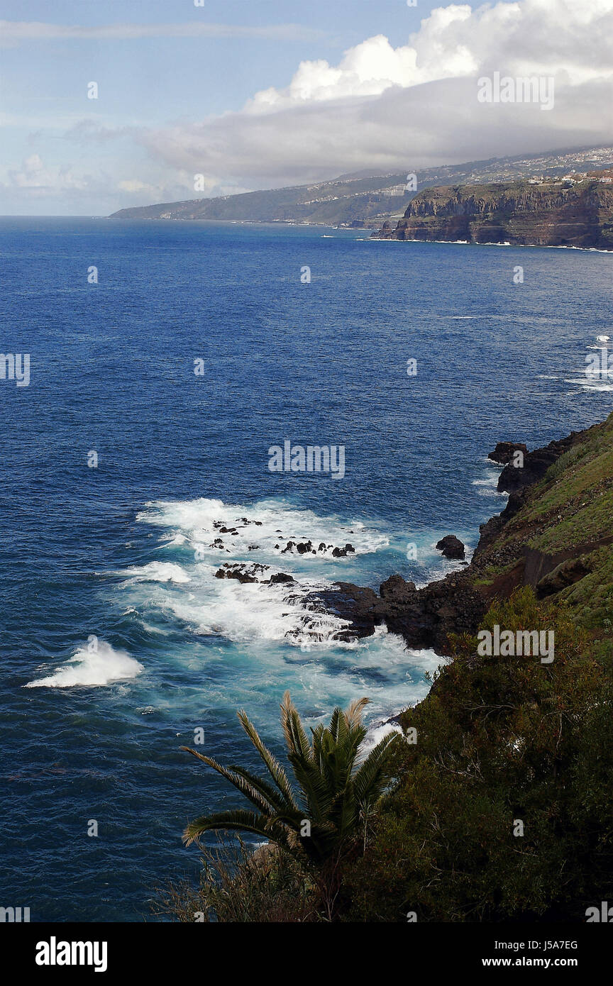 blue rock palms atlantic ocean salt water sea ocean water canary ...