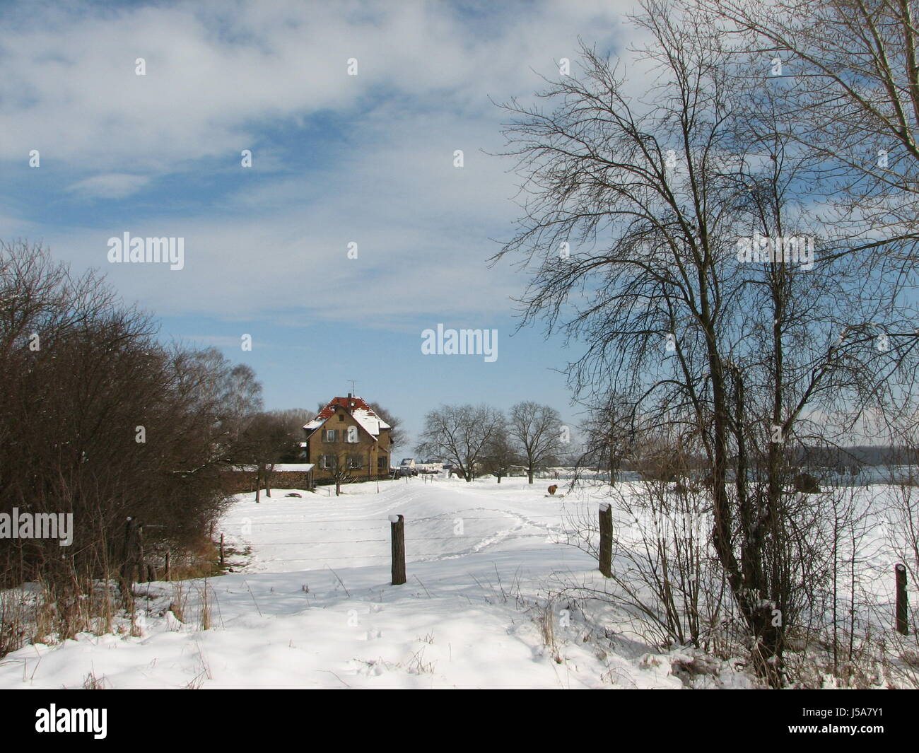 house building tree trees winter fence winter landscape snow scenery ...