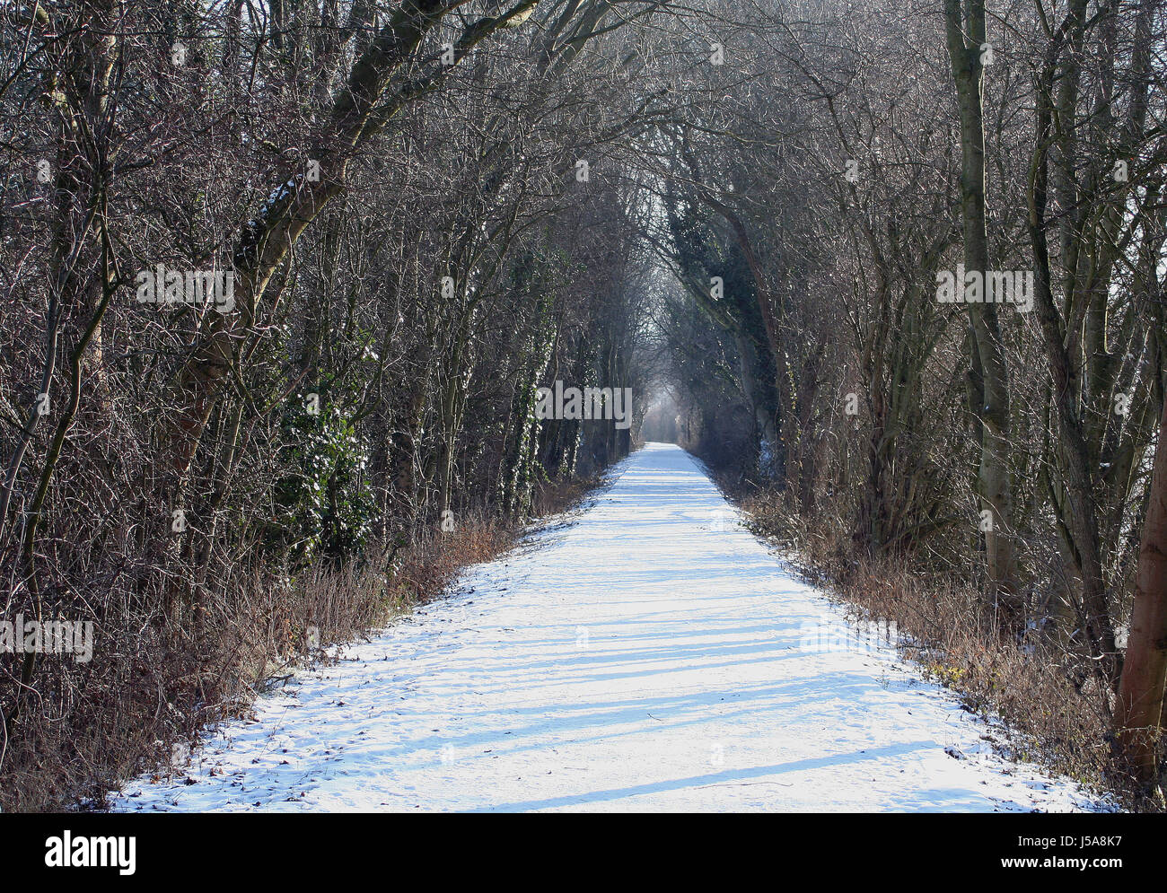 Vennbahn hi-res stock photography and images - Alamy