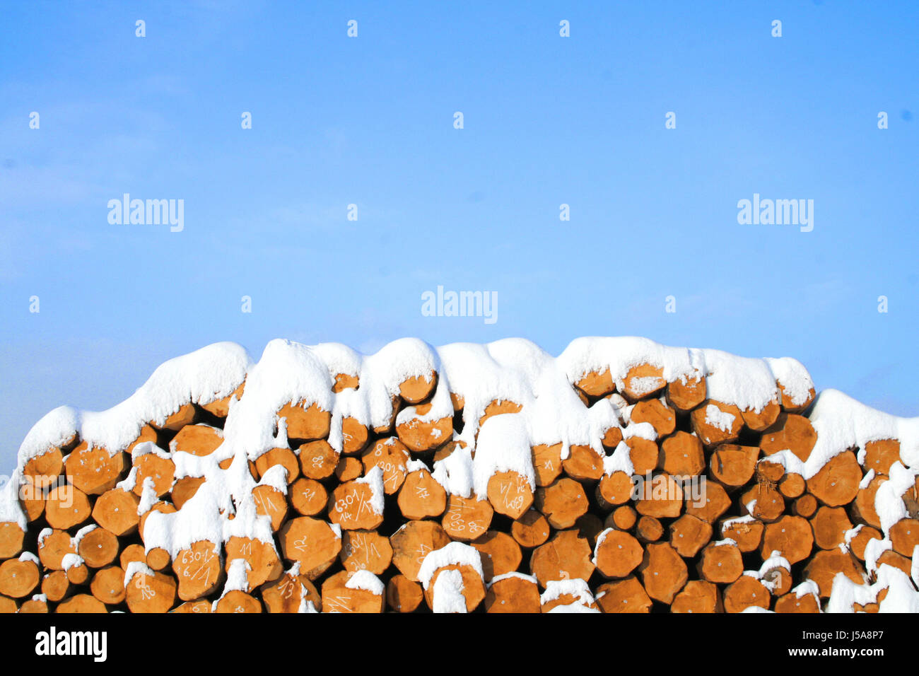 wood,fir,stack,long,frontally,sheet of paper,paper,snow,sto,stoss Stock ...