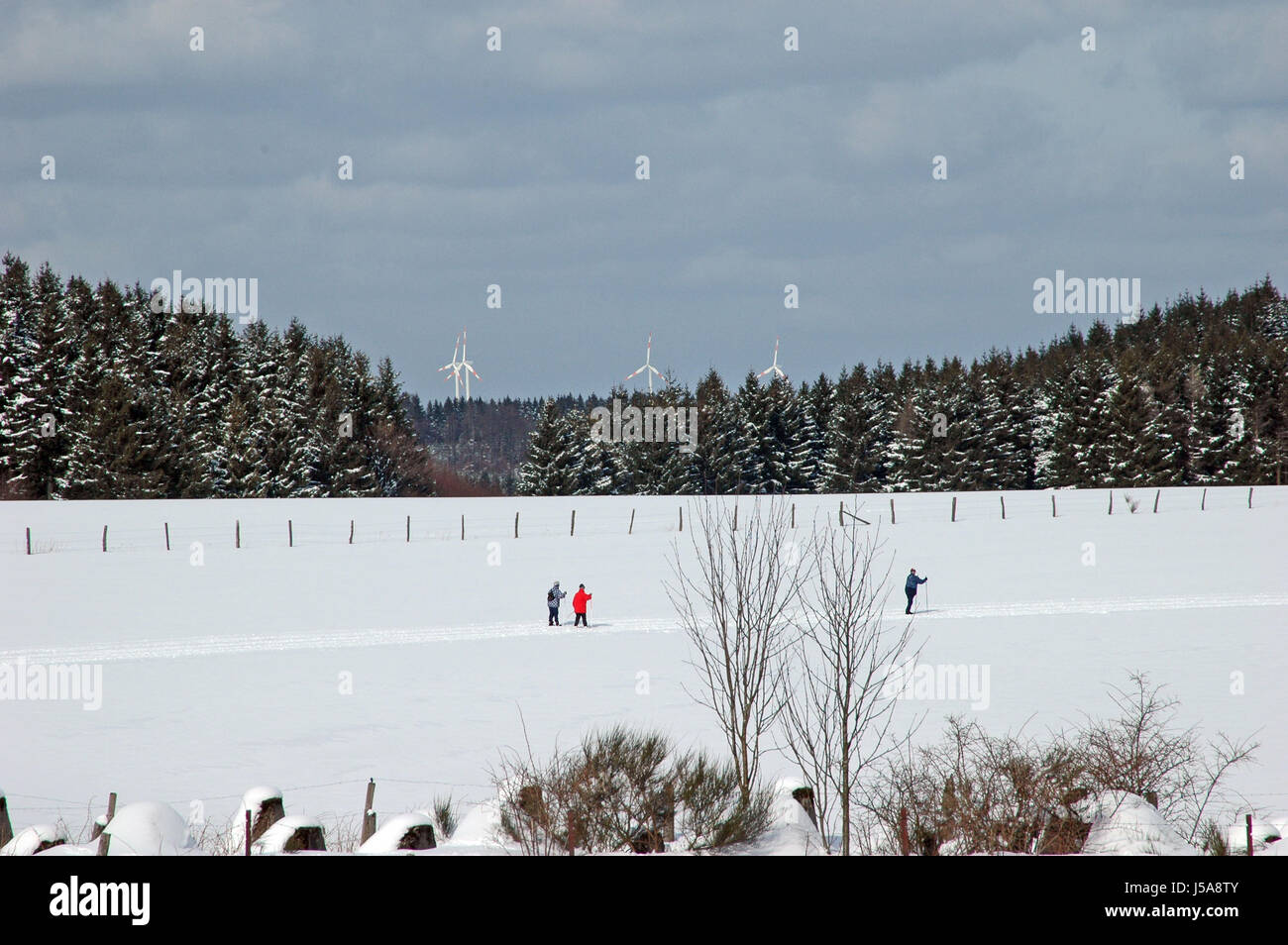 sport sports tree trees winter cold woods sight view outlook ...