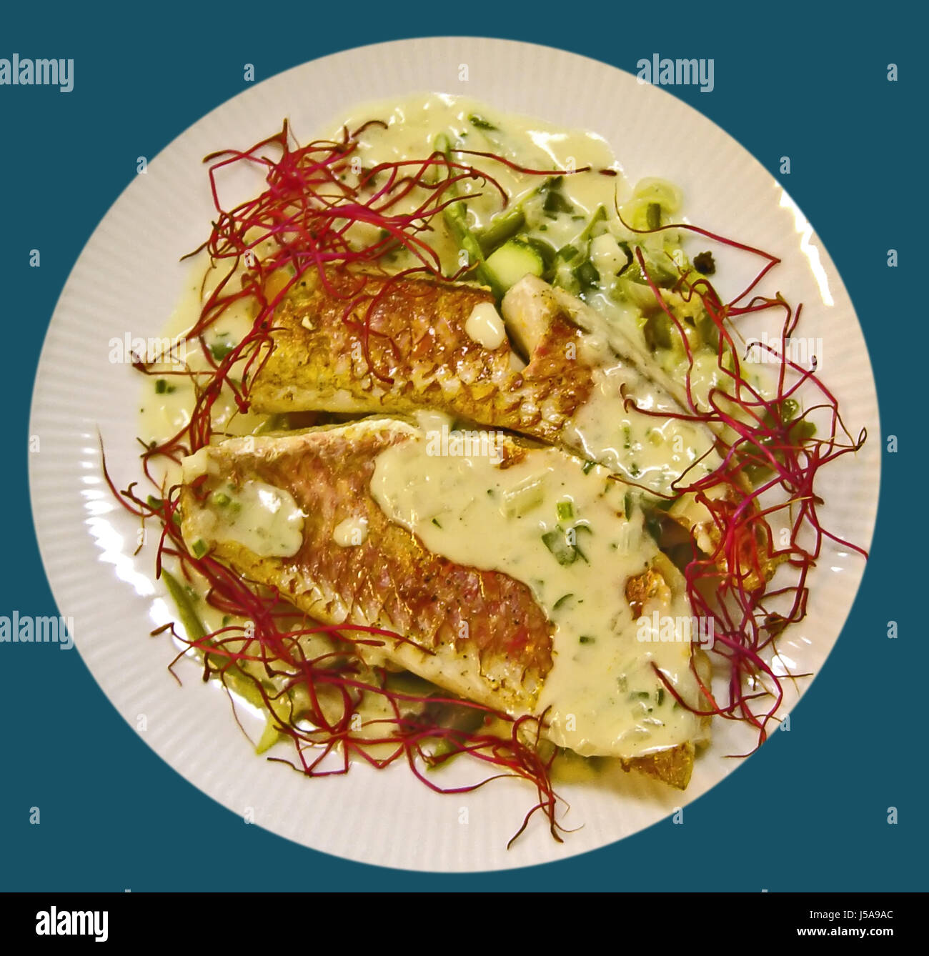 optional fish germination plate menu main course sprouts enjoying 296 ...