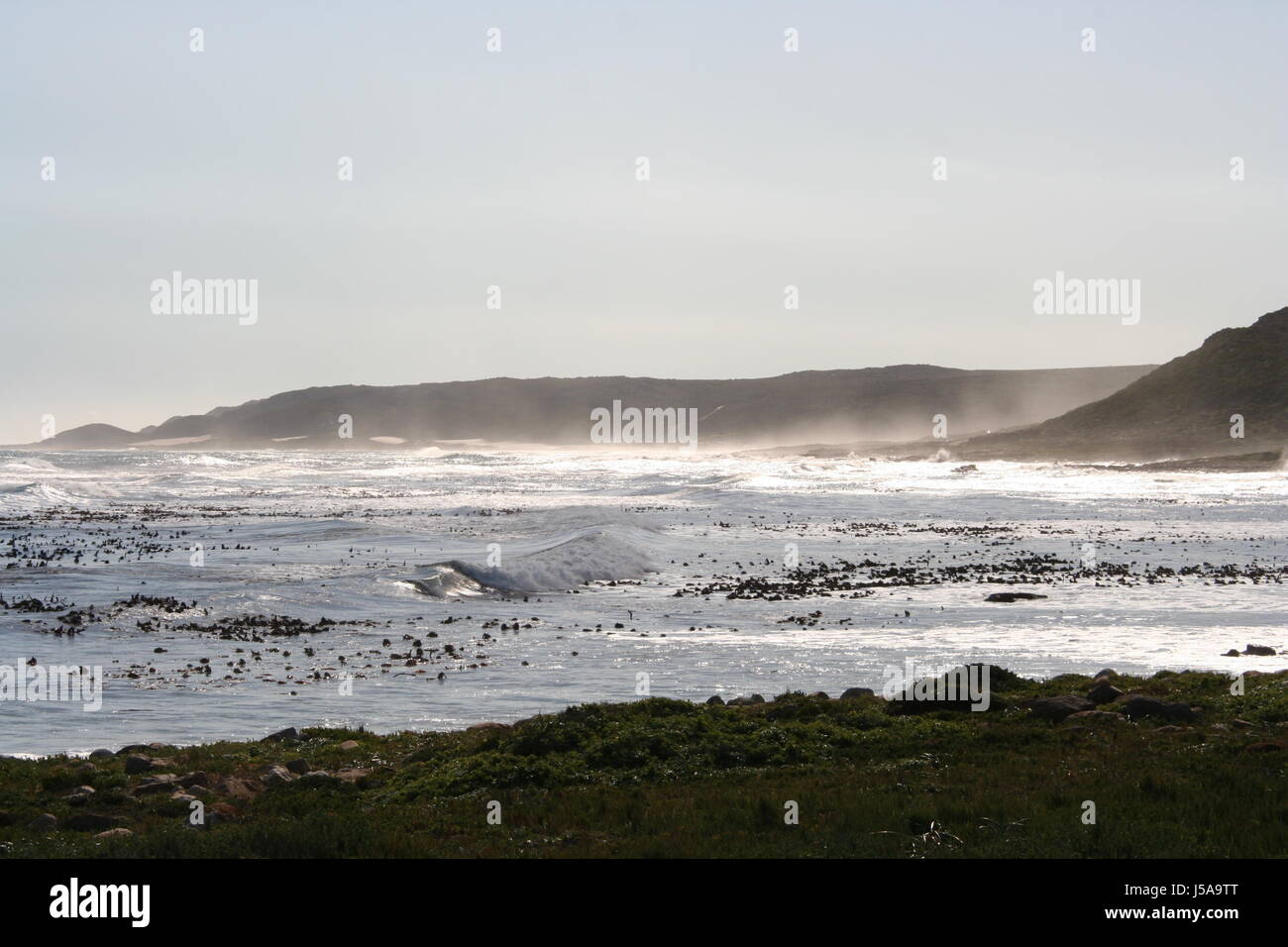 fog waves rock coast south africa surf spray crusher salt water sea ...
