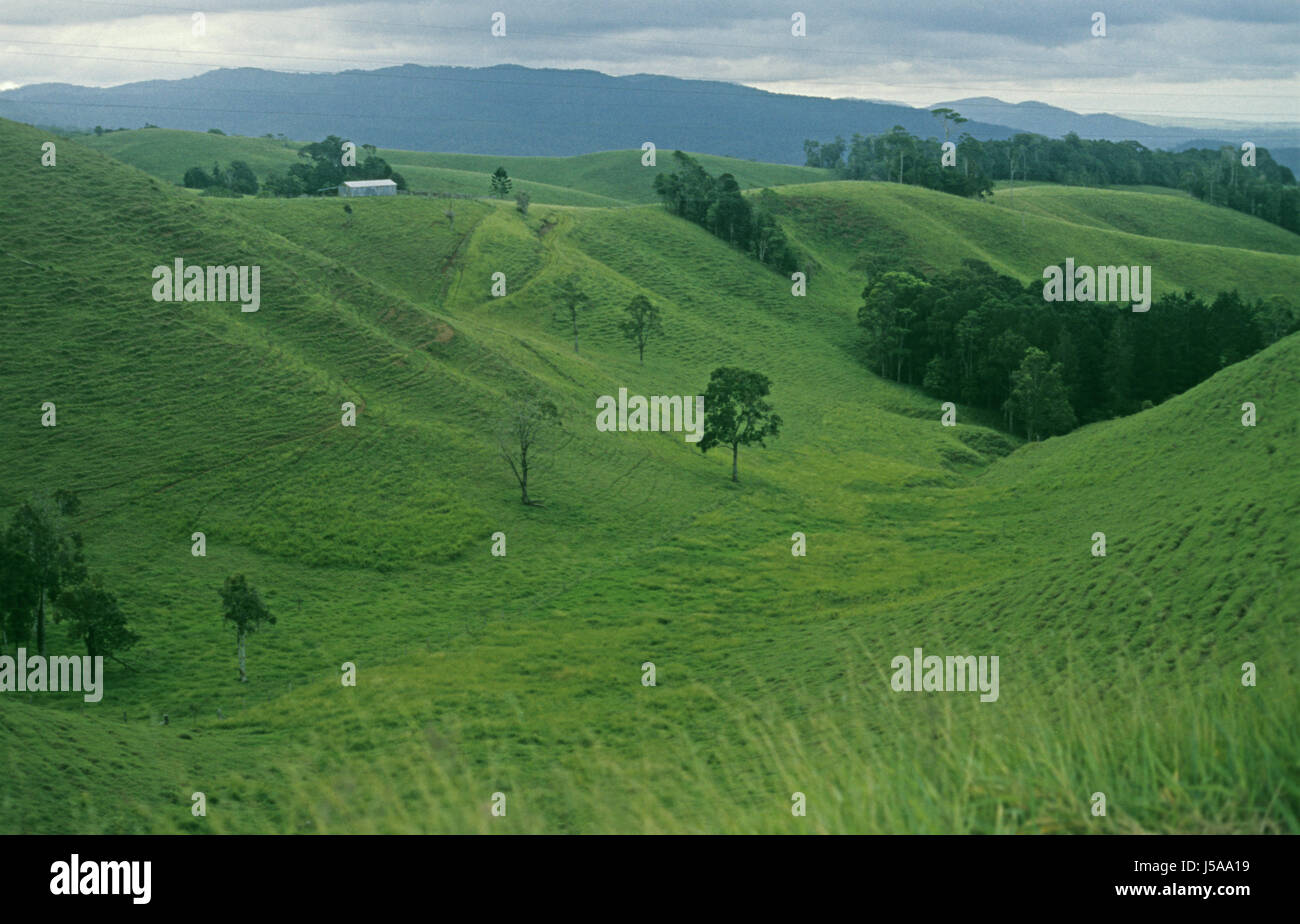 Aherton tableland hi-res stock photography and images - Alamy