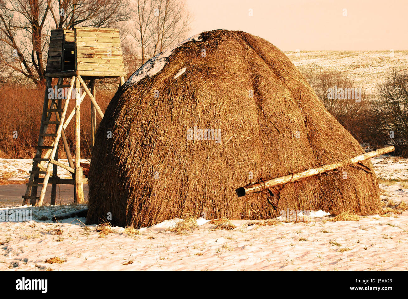 winter cold straw deerstand home snow hunting chase shine shines bright ...